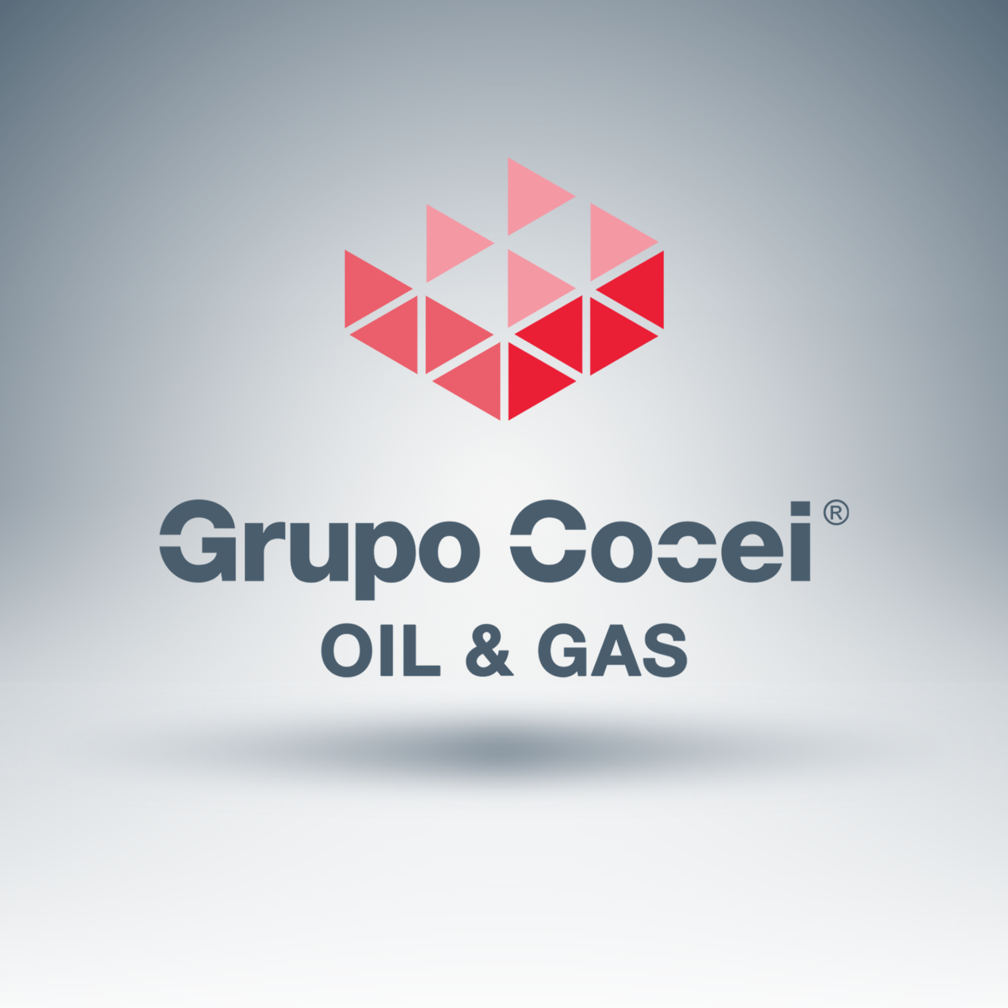 Empresas Grupo Cocei